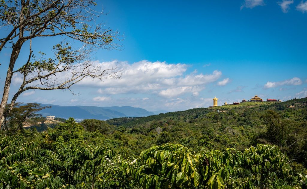 Home - Samten Hills